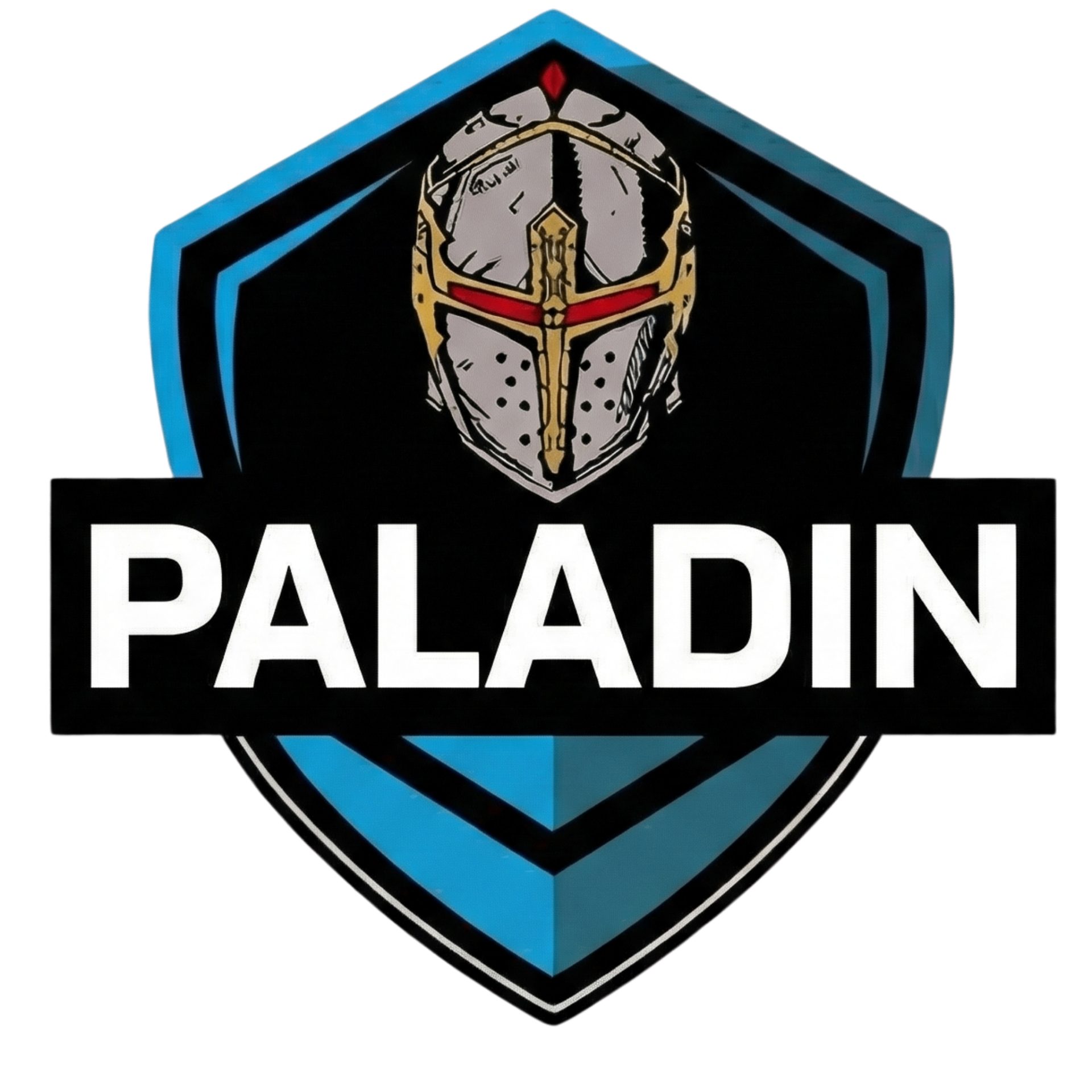 Paladin Public Safety (PSSNC) | Licensed Public Safety Services ...